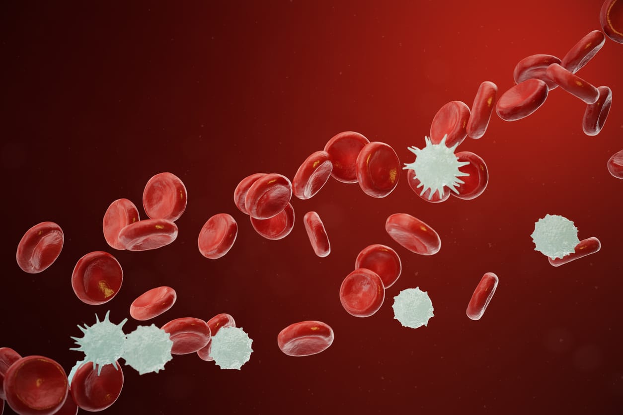 Limfosit: Pengertian, Fungsi, Implikasi Klinis | HonestDocs